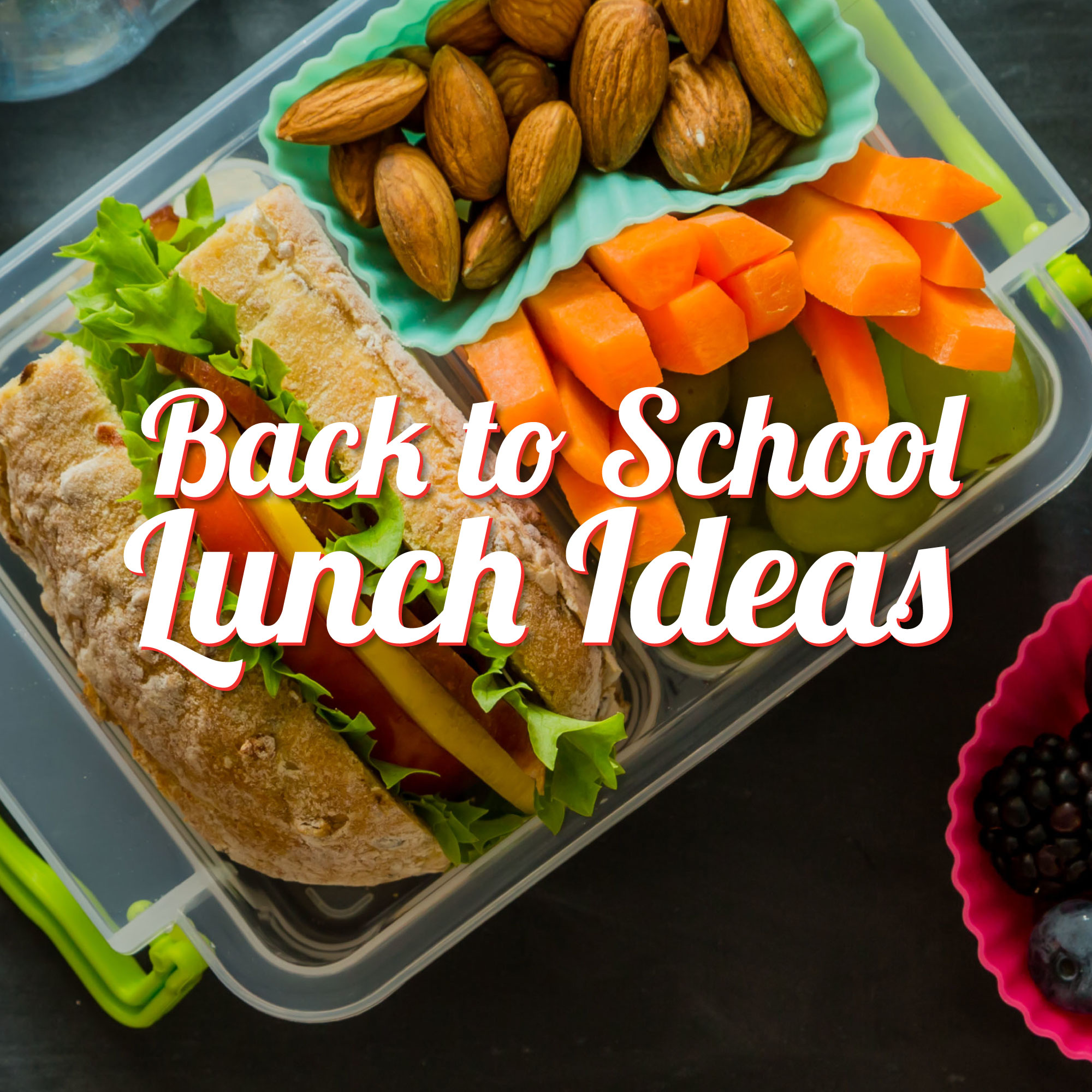Back To School Lunch Ideas Country Home Learning Center