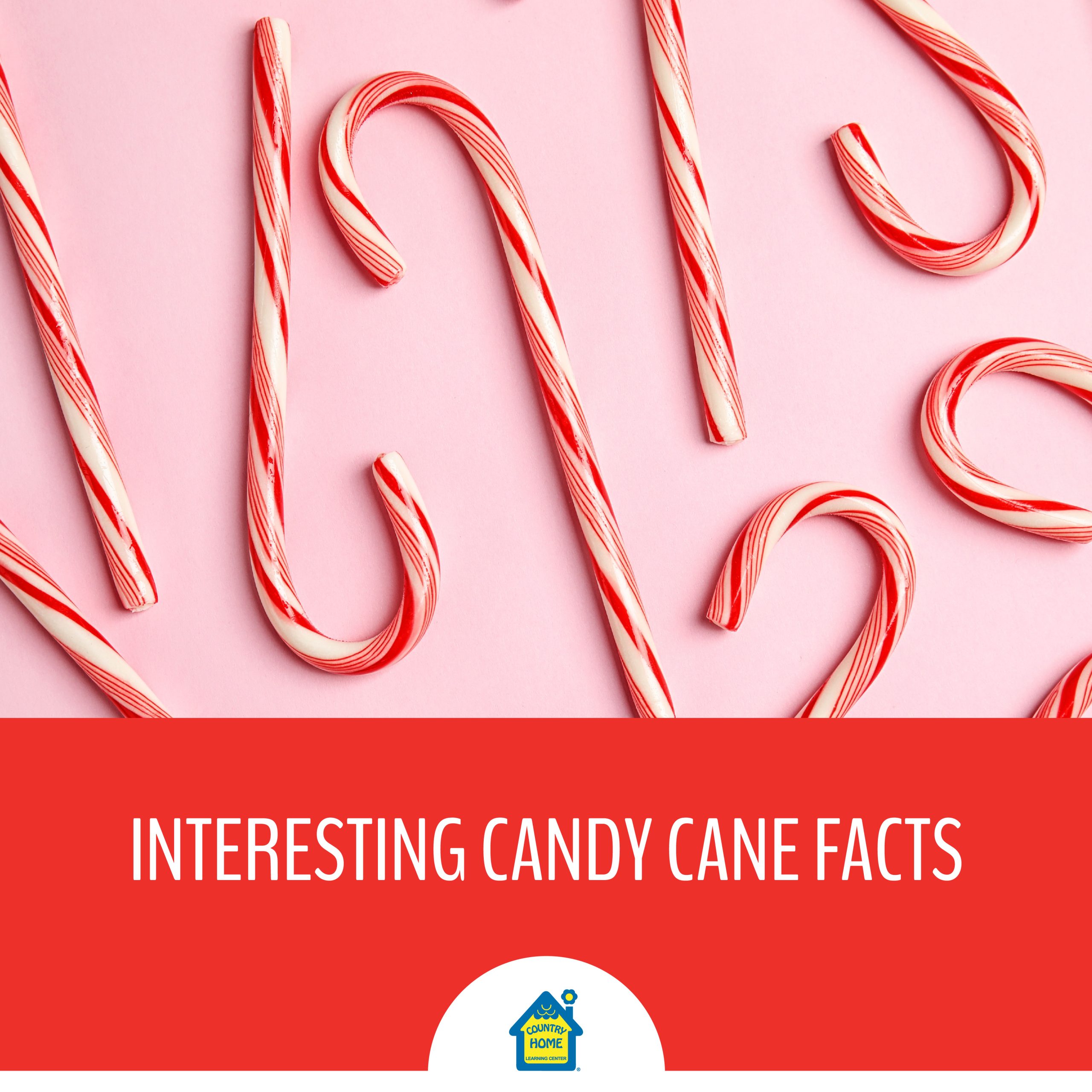 Interesting Candy Cane Facts CHLC Daycare In San Antonio Interesting Candy Cane Facts CHLC Daycare In San Antonio